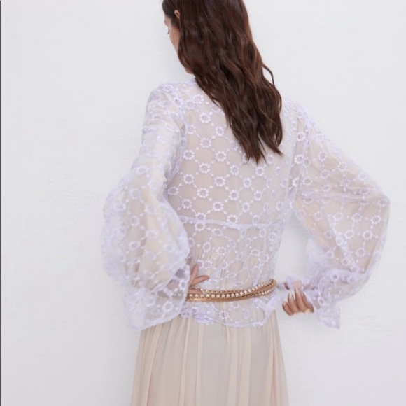 Zara | Tops | Nwt Zara Embroidered Sheer Top | Poshmark